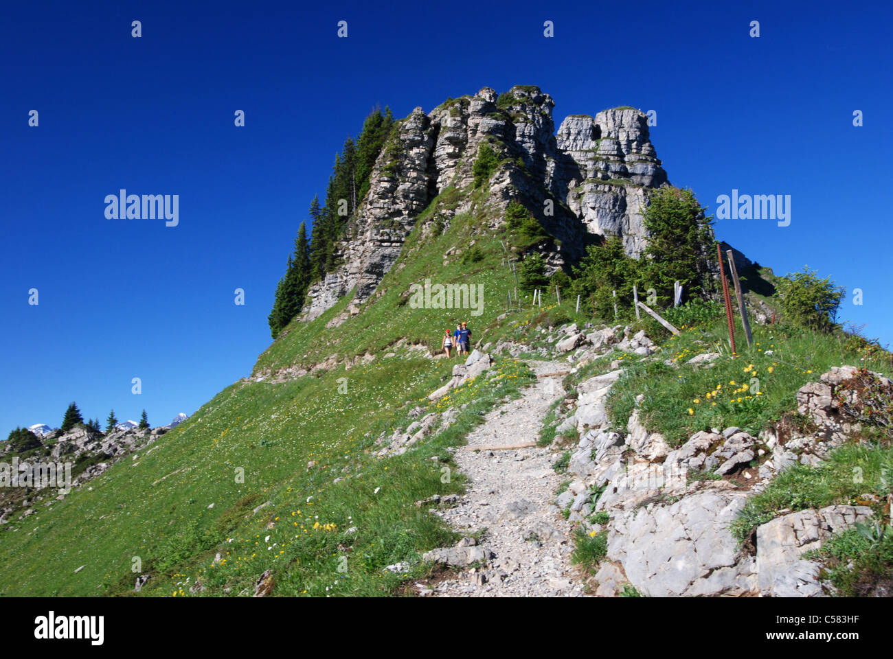 Alps, alpine, mountains, mountain walking, walk, stones, mountains, way ...