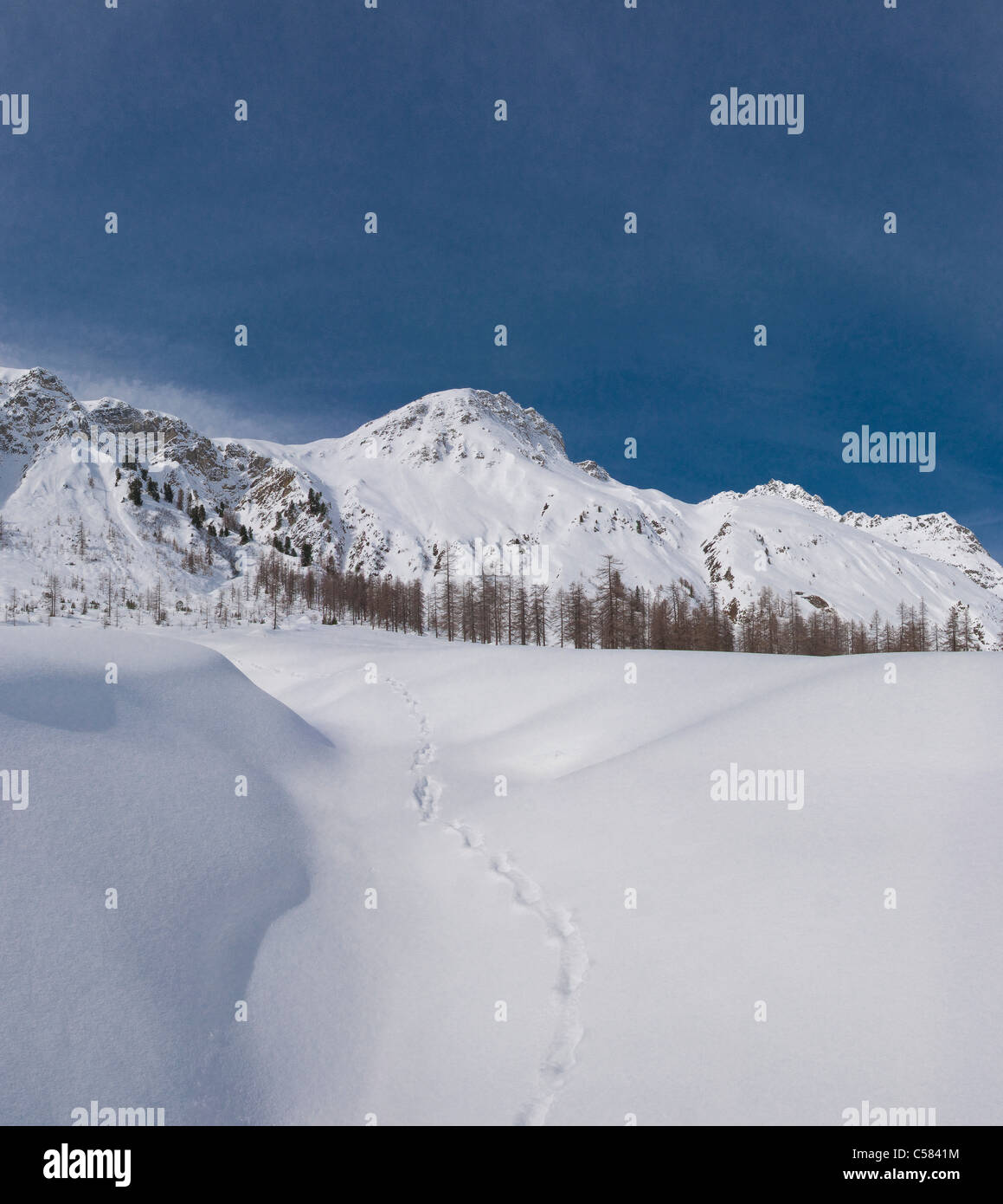 Switzerland, Graubunden, Grisons, Davos, Sertigtal, Landscape, Winter ...