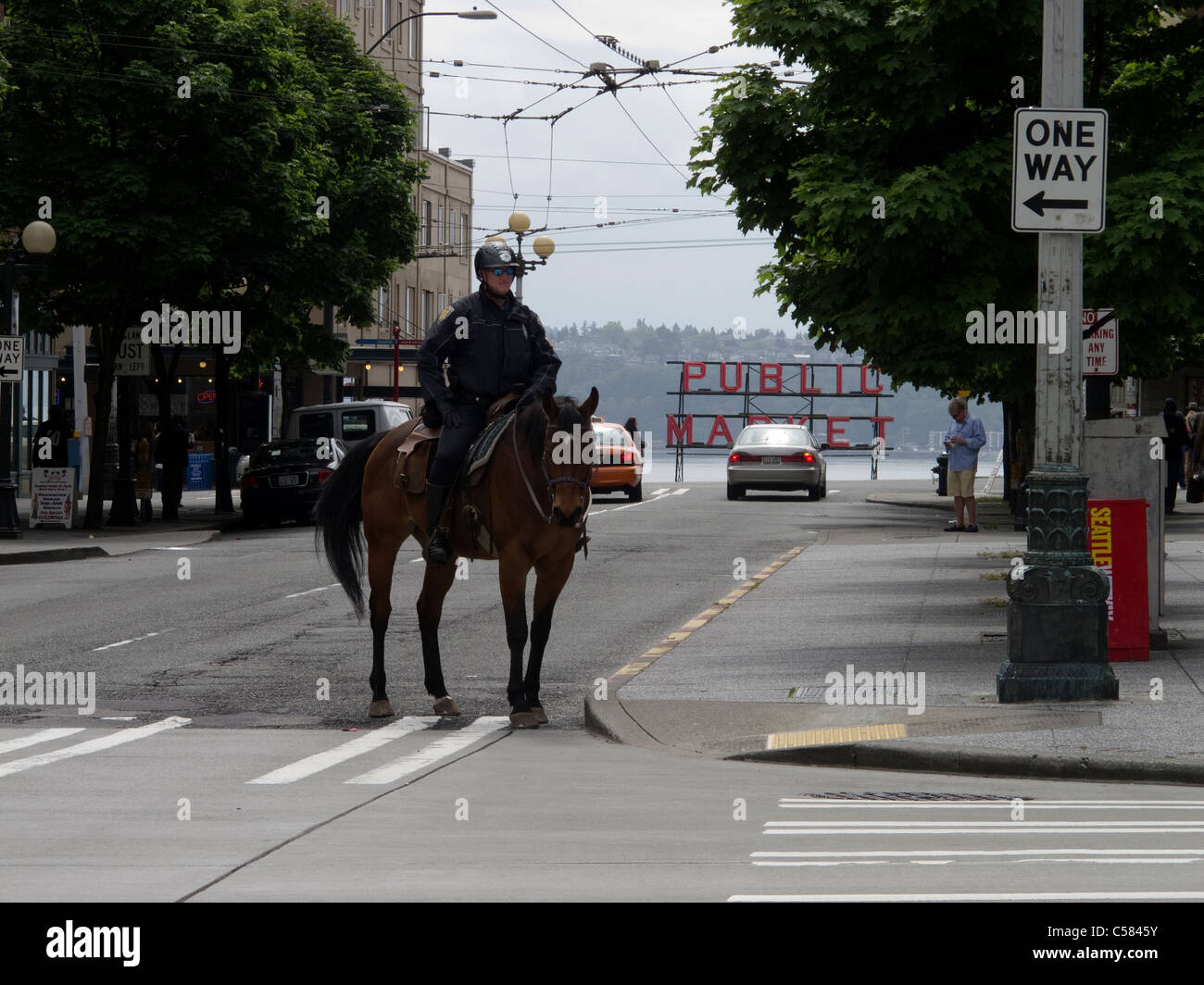 Mounted Policeman in Seattle Washington State USA Stock Photo - Alamy