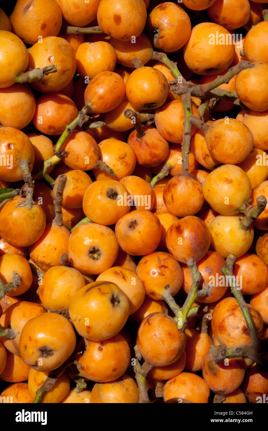 Eceabat hi-res stock photography and images - Alamy