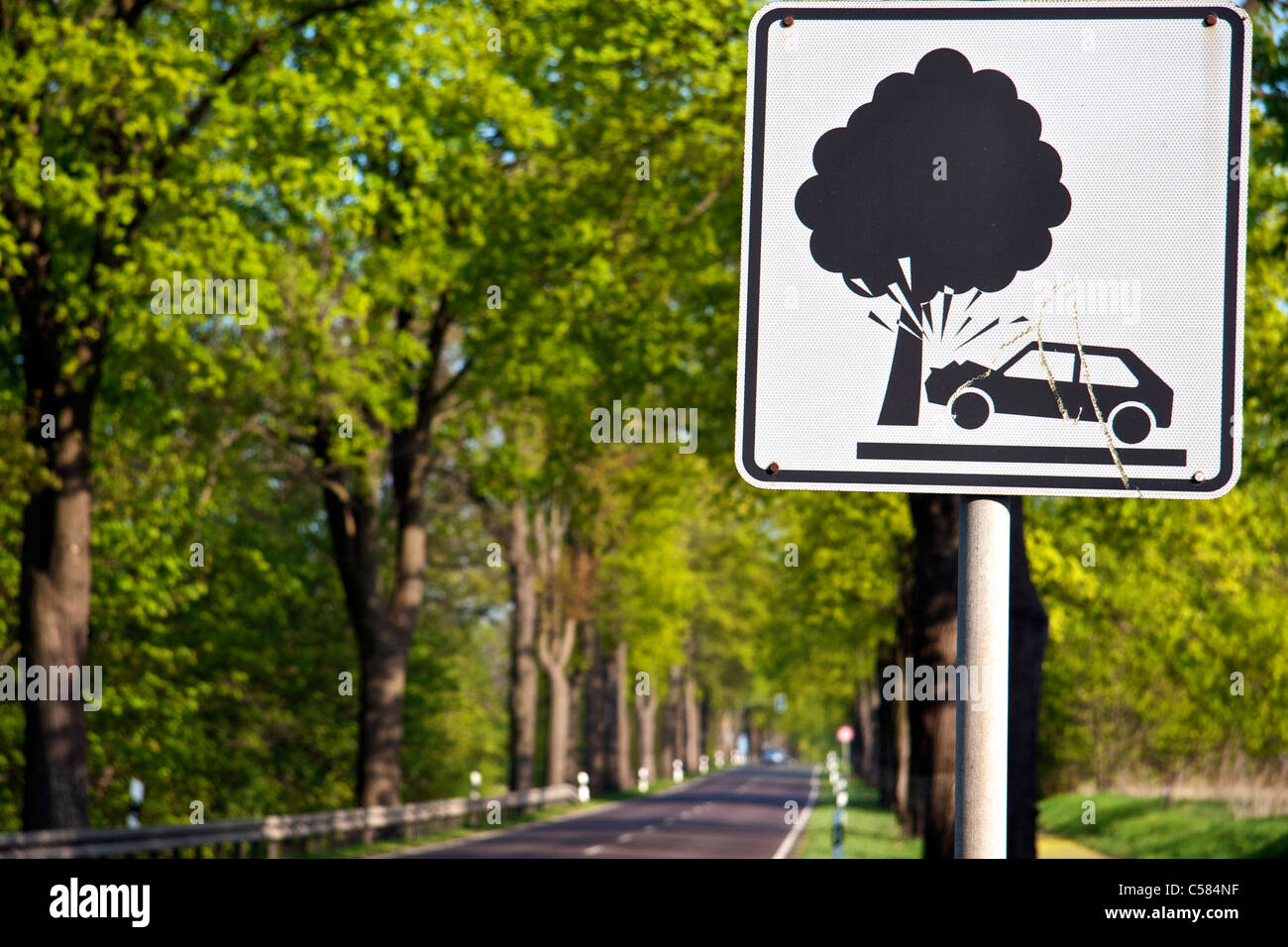In an avenue traffic sign warns of collision with a tree Stock Photo ...