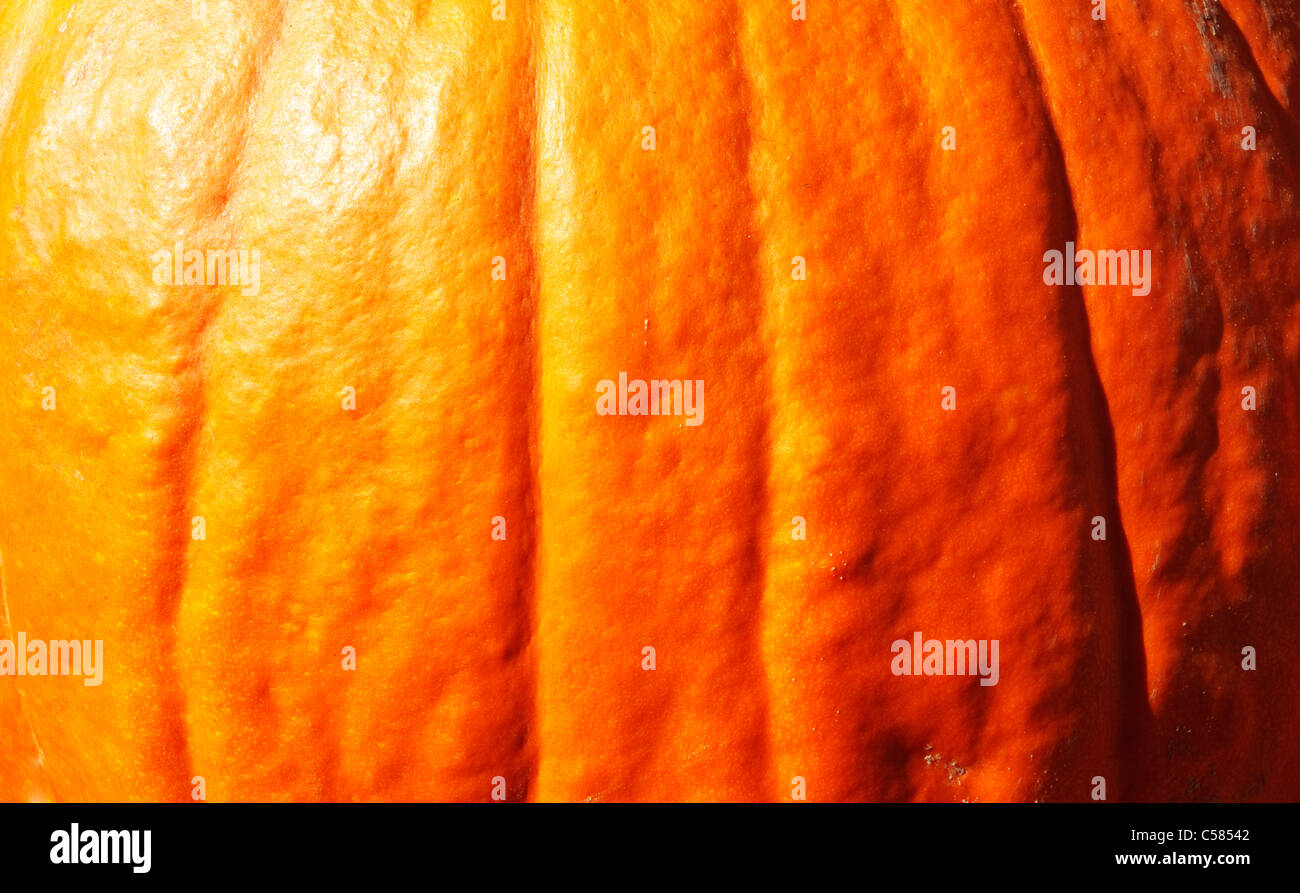 Pumpkin ridges hi-res stock photography and images - Alamy