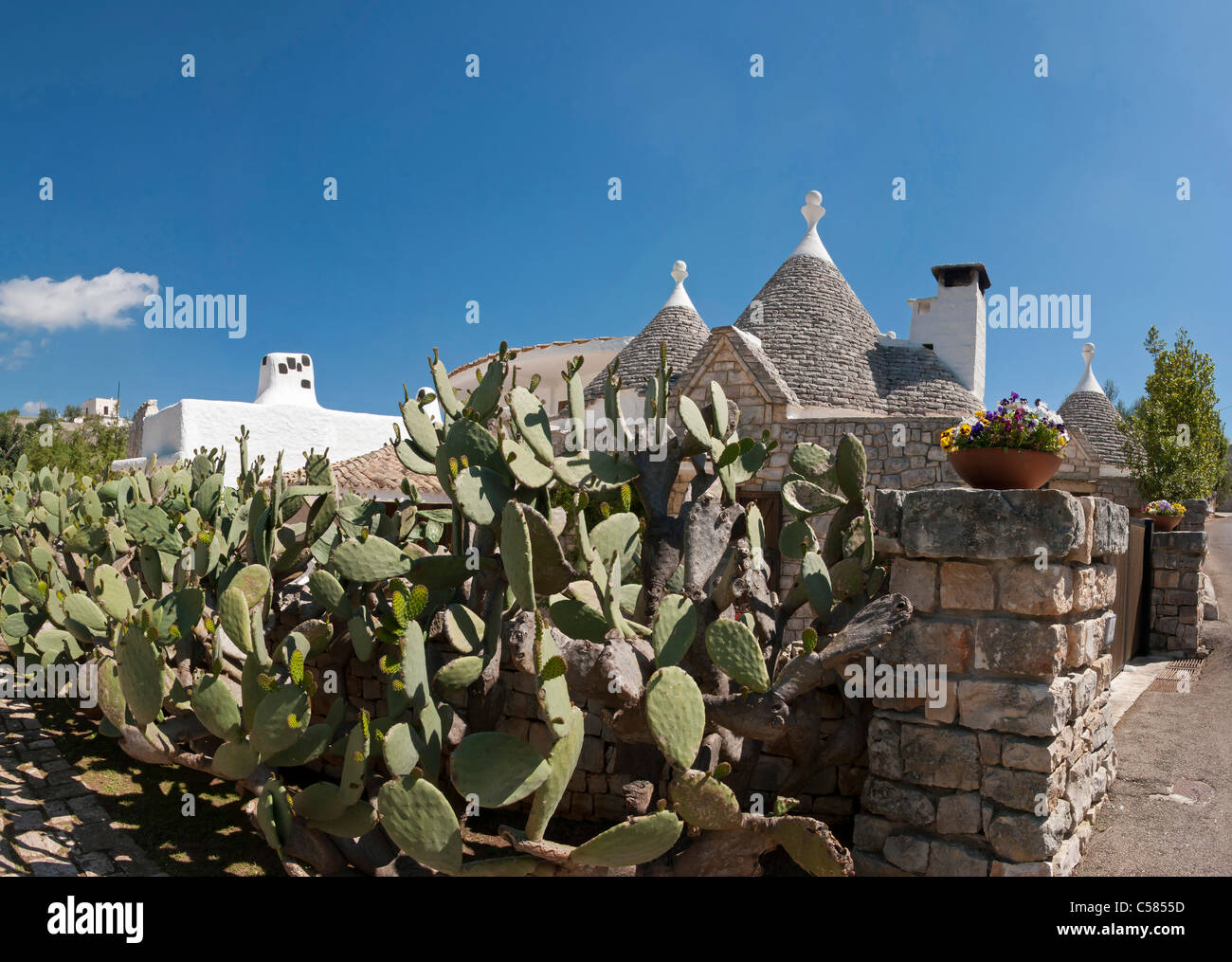 Italy, Europe, Trulli, Cisternino, Puglia, house, spring, cactus Stock ...