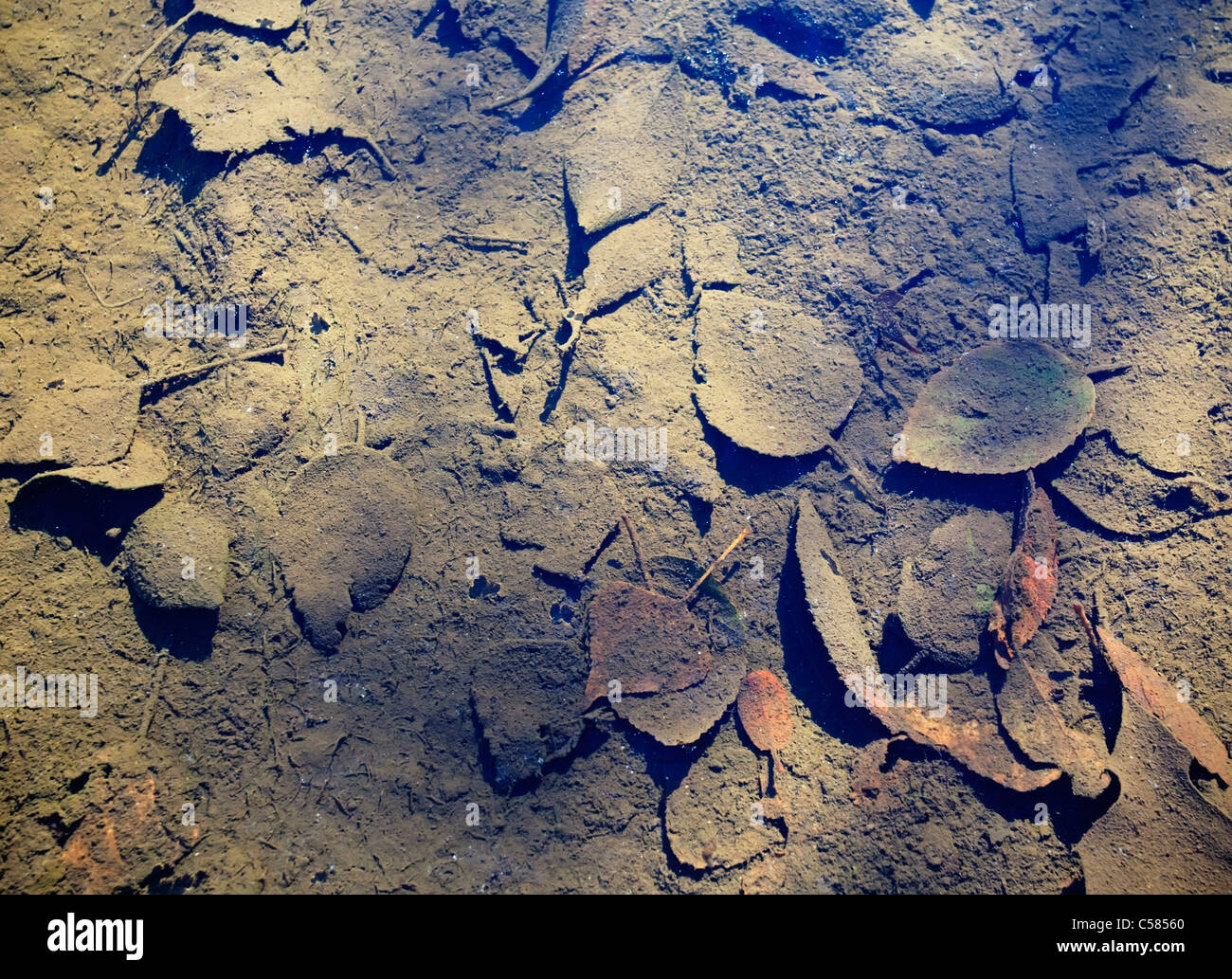 Brackish soil hi-res stock photography and images - Alamy