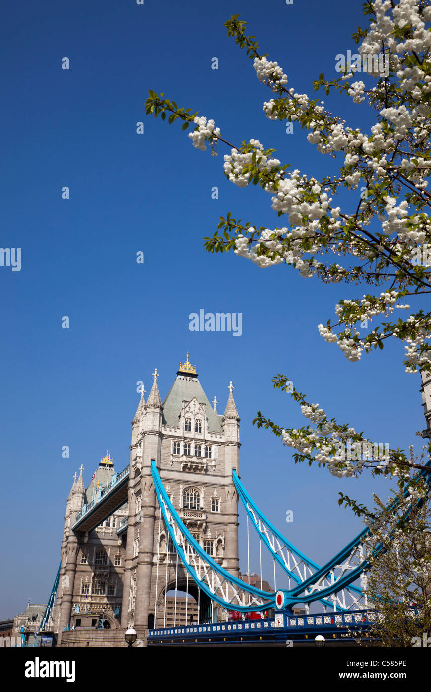 UK, United Kingdom, Great Britain, Britain, England, London, Tower ...
