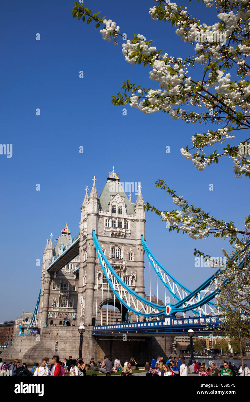 UK, United Kingdom, Great Britain, Britain, England, London, Tower ...
