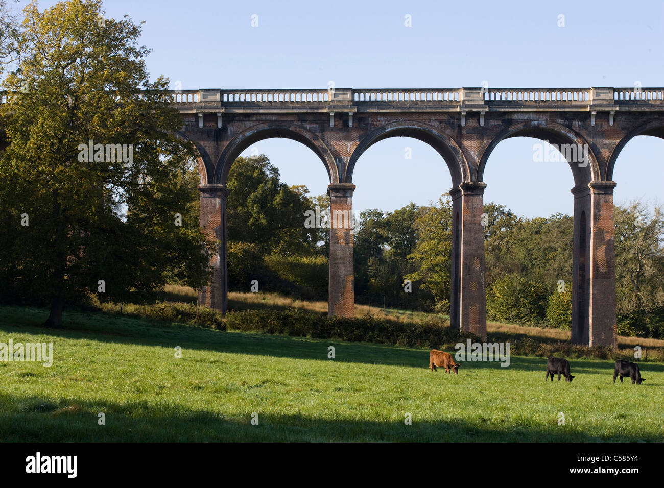 Balcombe Viaduct High Resolution Stock Photography and Images - Alamy