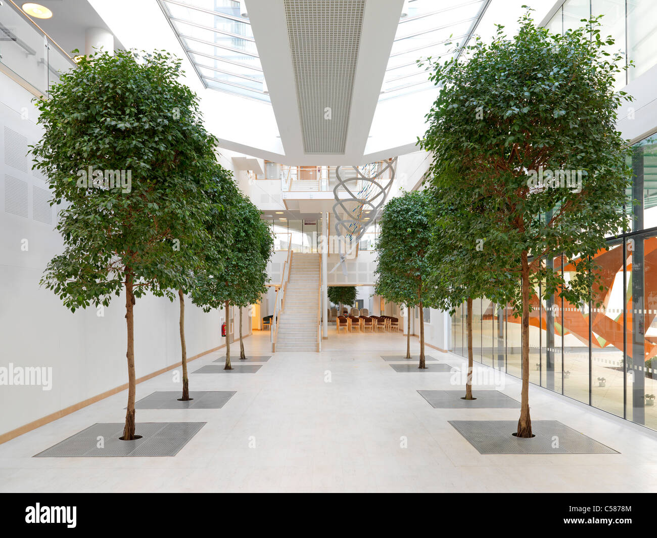 Bristol Heart Institute, Bristol Royal Infirmary (BRI Stock Photo - Alamy