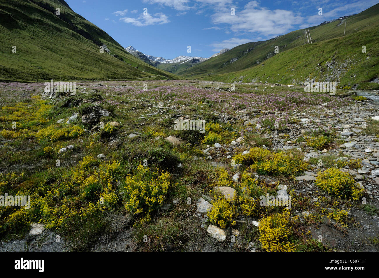 Saxi hi-res stock photography and images - Alamy