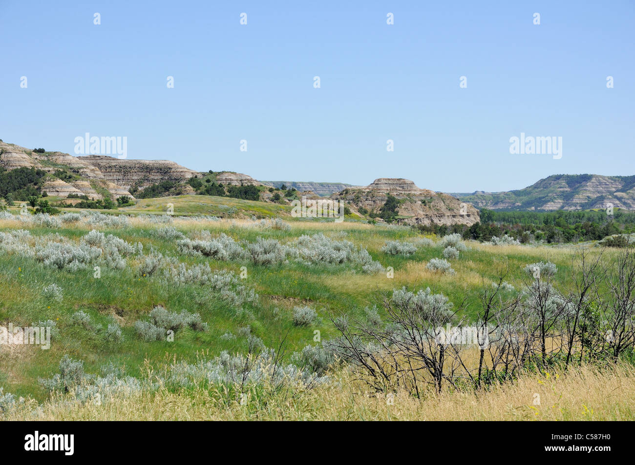 Land formations in Theodore Roosevelt National Park, North Dakota, USA ...