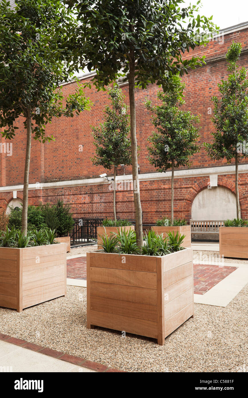 Iroko wood planters with single stemmed evergreen trees and plants on ...