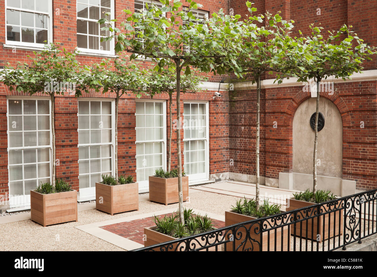 Iroko wood planters with table-top, deciduous trees and plants set on ...