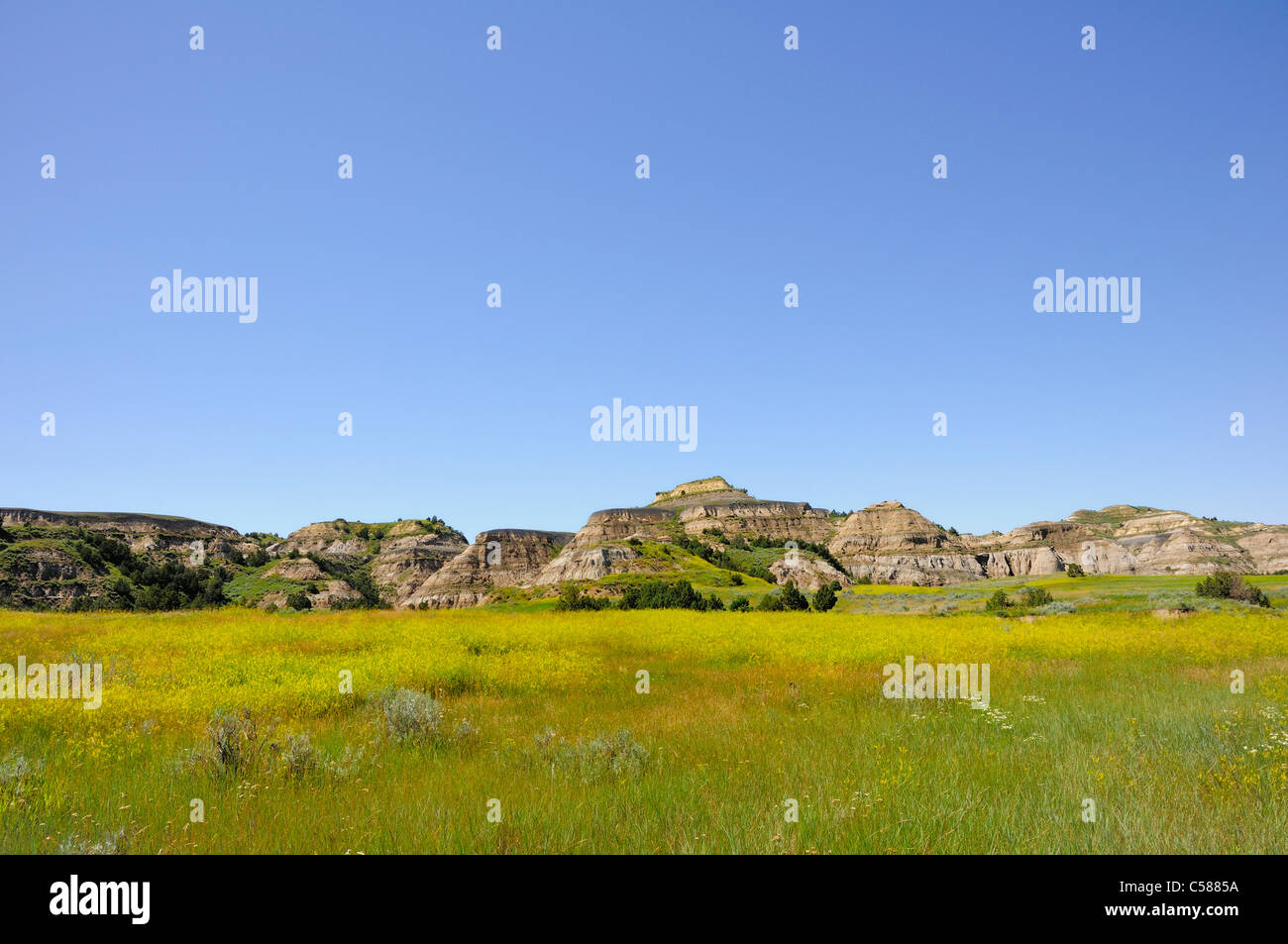 Land formations in Theodore Roosevelt National Park, North Dakota, USA ...