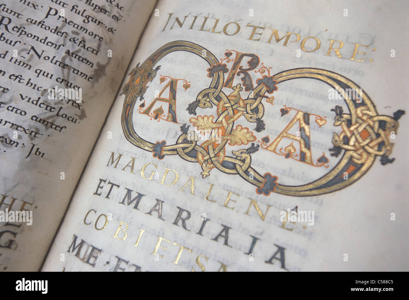 St Gallen Library High Resolution Stock Photography and Images - Alamy