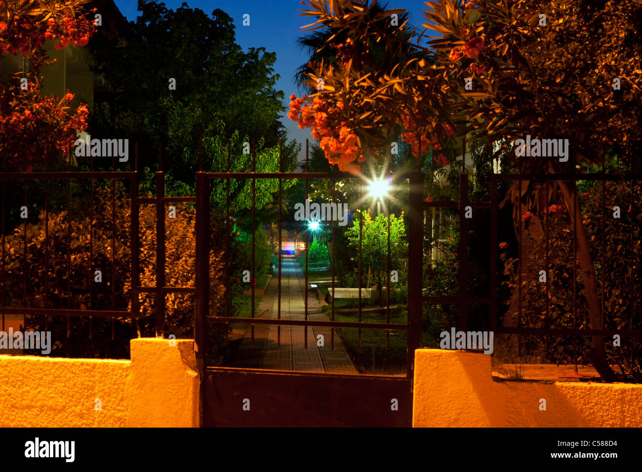 Looking through gates at colourful gardens at night Stock Photo - Alamy