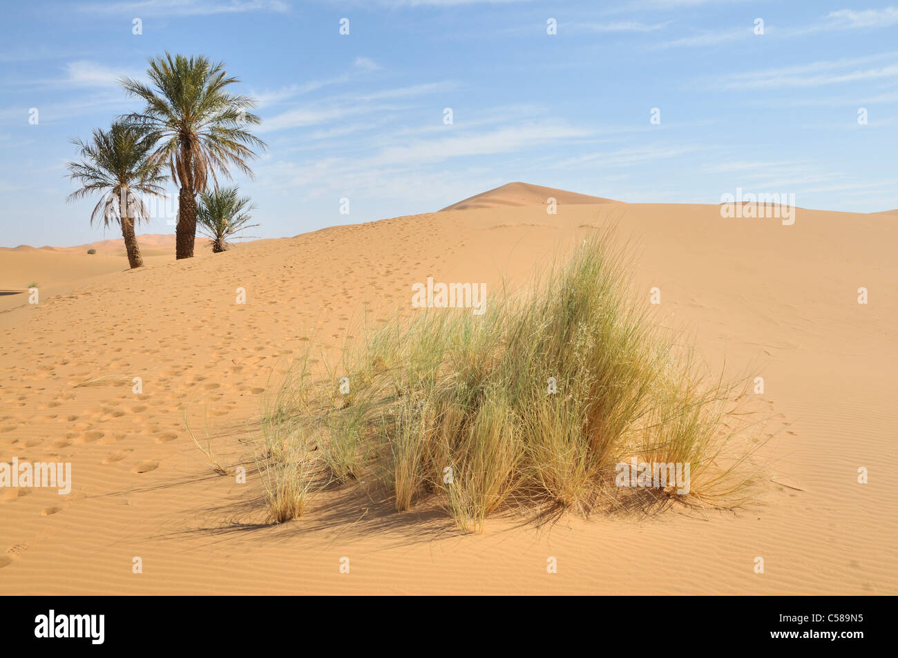 Africa, Morocco, Maghreb, North Africa, sand dunes, erg Chebbi, desert ...
