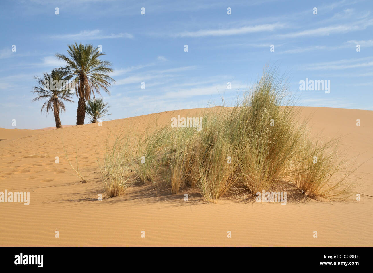 Africa, Morocco, Maghreb, North Africa, sand dunes, erg Chebbi, desert ...