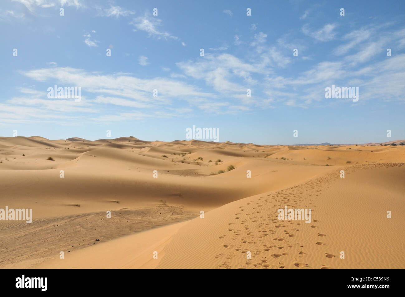 Africa, Morocco, Maghreb, North Africa, sand dunes, erg Chebbi, desert ...