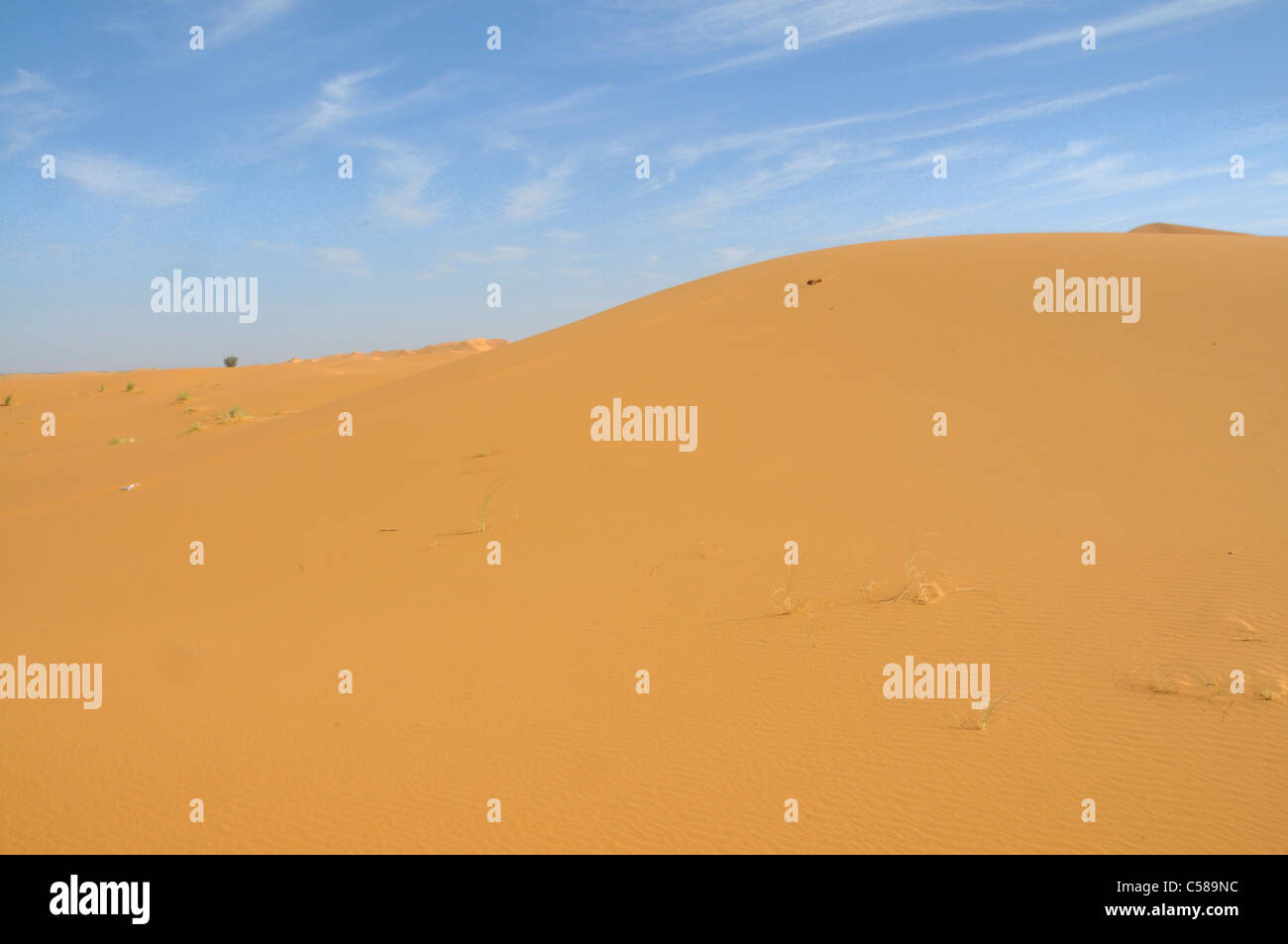 Africa, Morocco, Maghreb, North Africa, sand dunes, erg Chebbi, desert ...