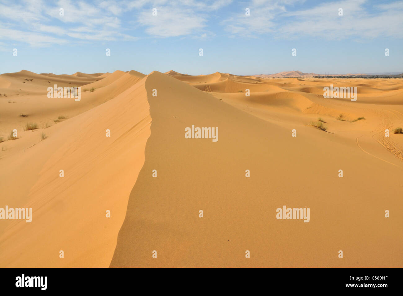 Africa, Morocco, Maghreb, North Africa, sand dunes, erg Chebbi, desert ...