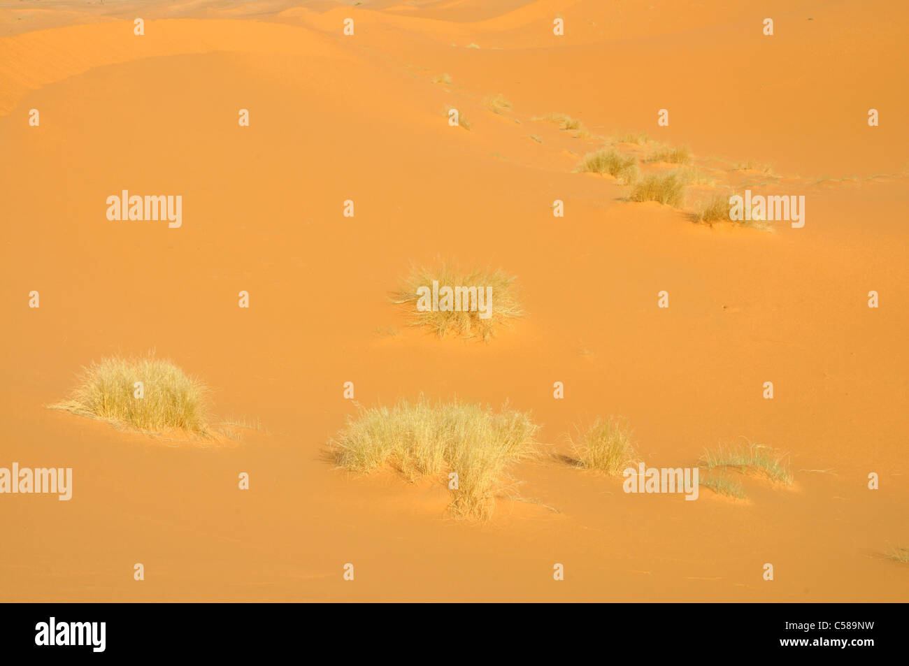 Africa, Morocco, Maghreb, North Africa, sand dunes, erg Chebbi, desert ...