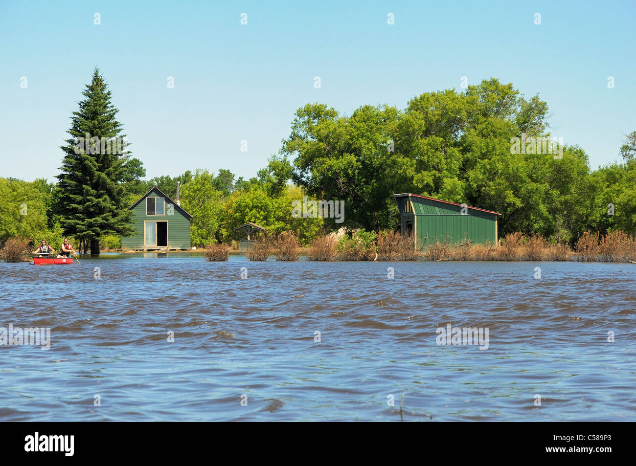 The flooded Souris River in North Dakota, United States Stock Photo - Alamy