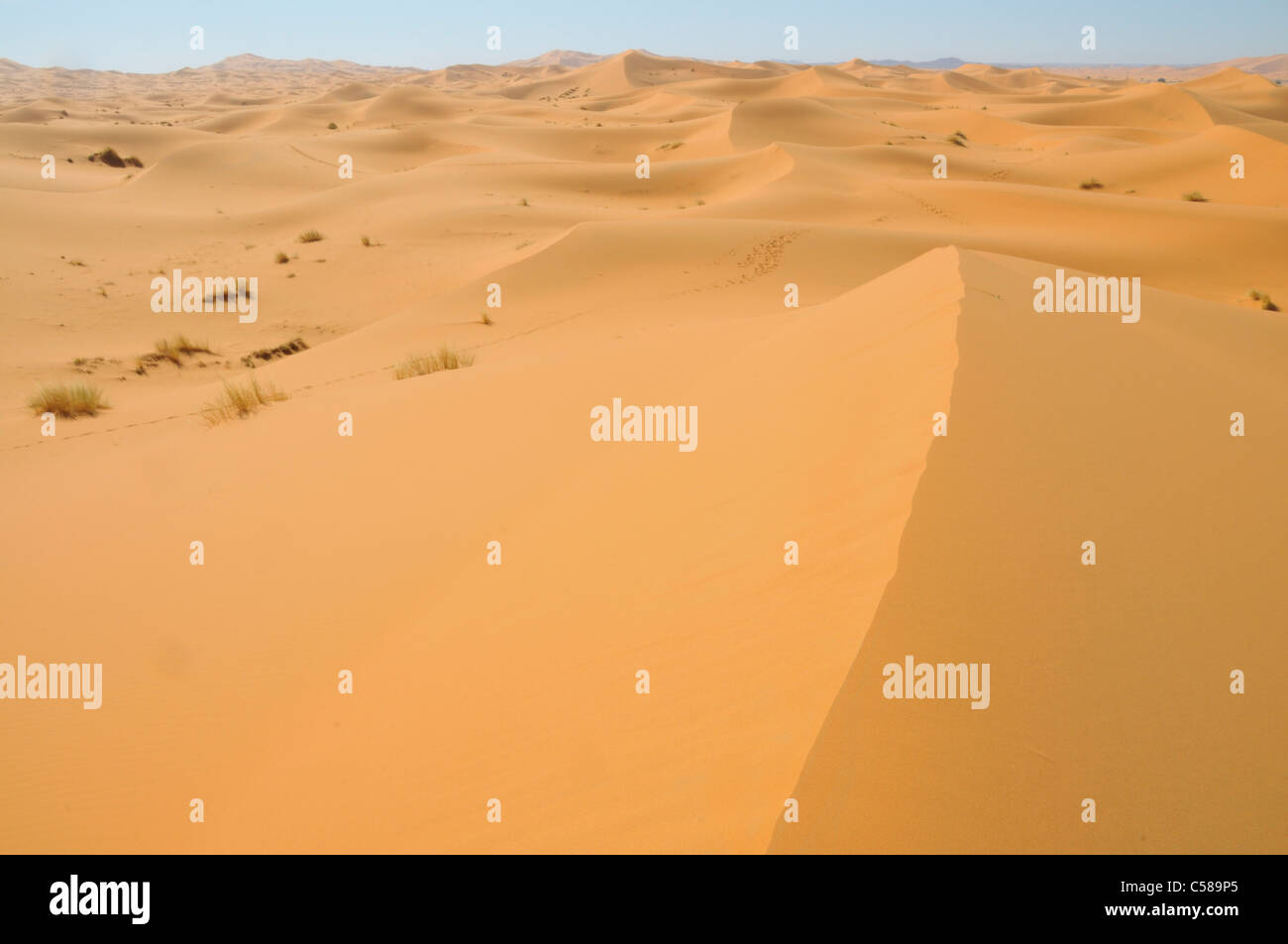 Africa, Morocco, Maghreb, North Africa, sand dunes, erg Chebbi, desert ...
