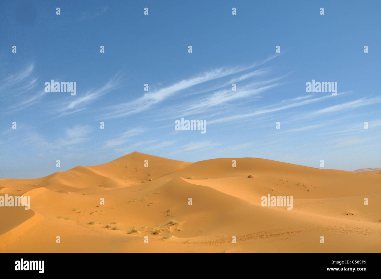 Africa, Morocco, Maghreb, North Africa, sand dunes, erg Chebbi, desert ...