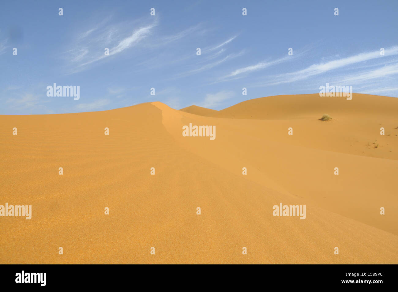 Africa, Morocco, Maghreb, North Africa, sand dunes, erg Chebbi, desert ...