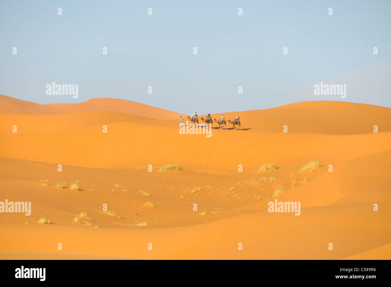 Africa, Morocco, Maghreb, North Africa, sand dunes, erg Chebbi, desert ...