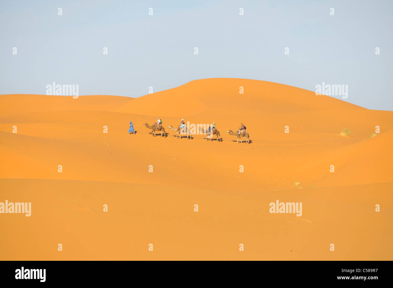 Africa, Morocco, Maghreb, North Africa, sand dunes, erg Chebbi, desert ...