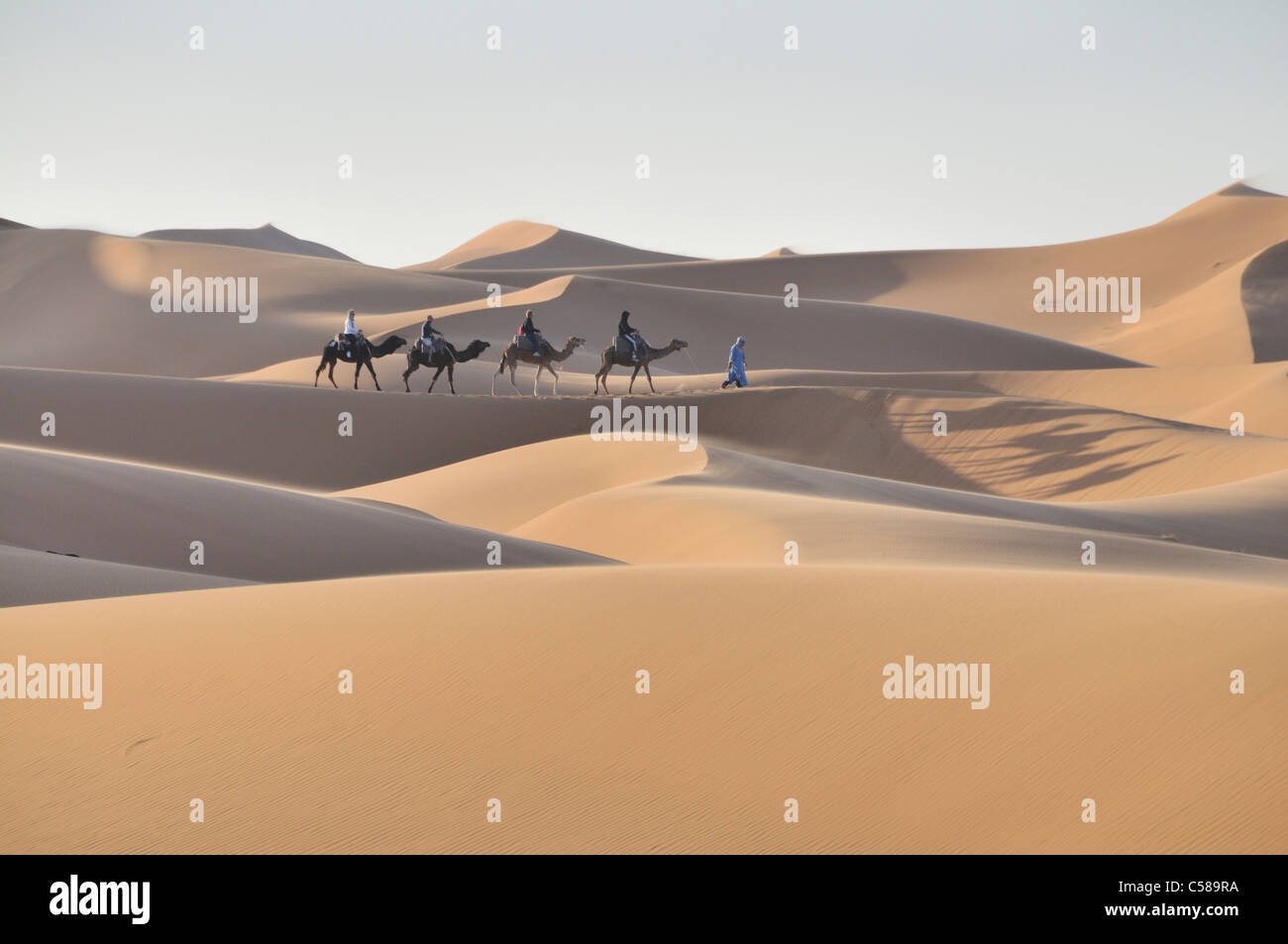 Africa, Morocco, Maghreb, North Africa, sand dunes, erg Chebbi, desert ...