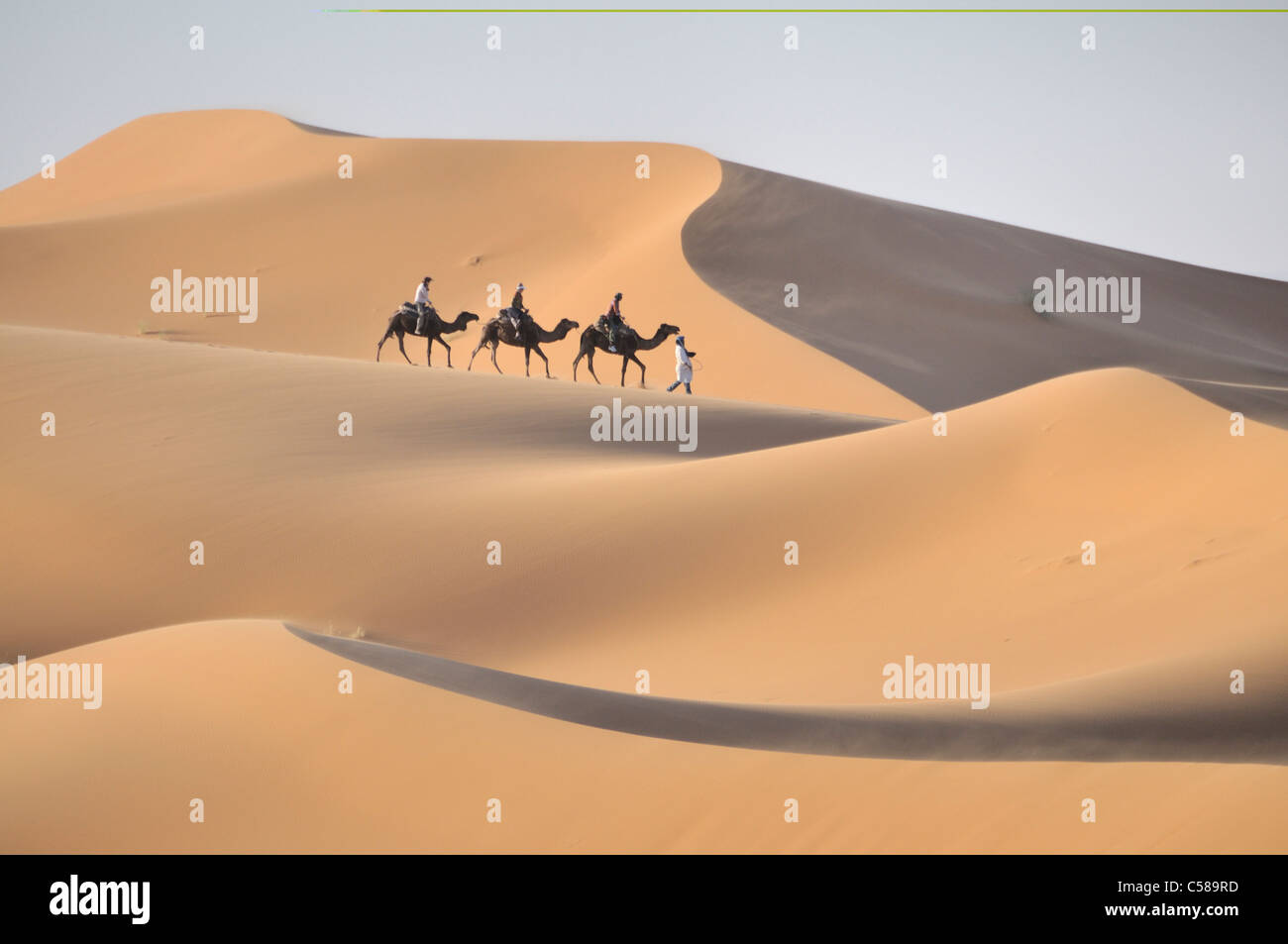 Africa, Morocco, Maghreb, North Africa, sand dunes, erg Chebbi, desert ...