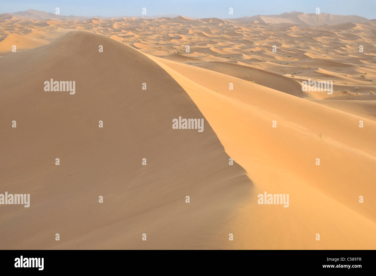 Africa, Morocco, Maghreb, North Africa, sand dunes, erg Chebbi, desert ...