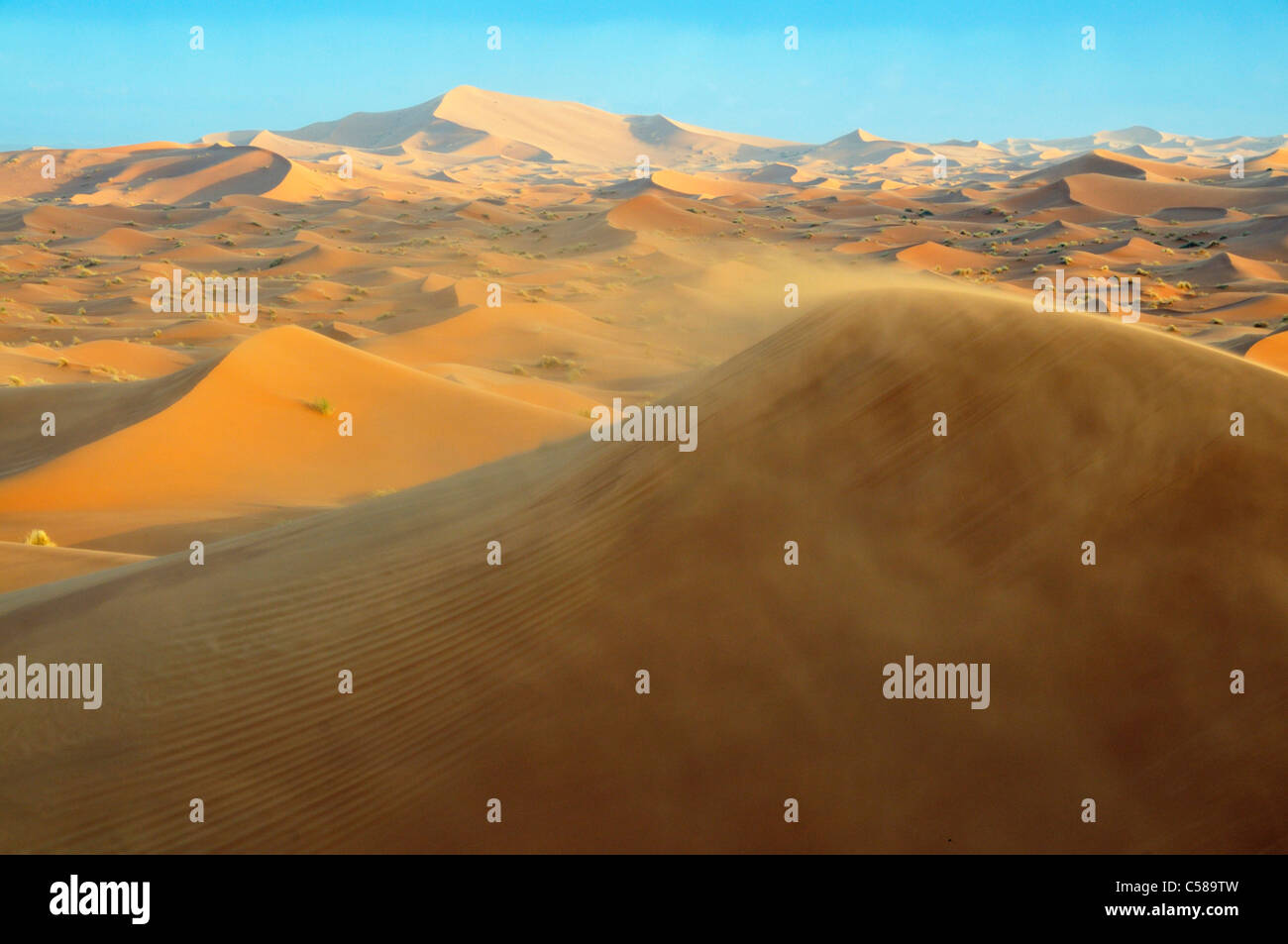 Africa, Morocco, Maghreb, North Africa, sand dunes, erg Chebbi, desert ...