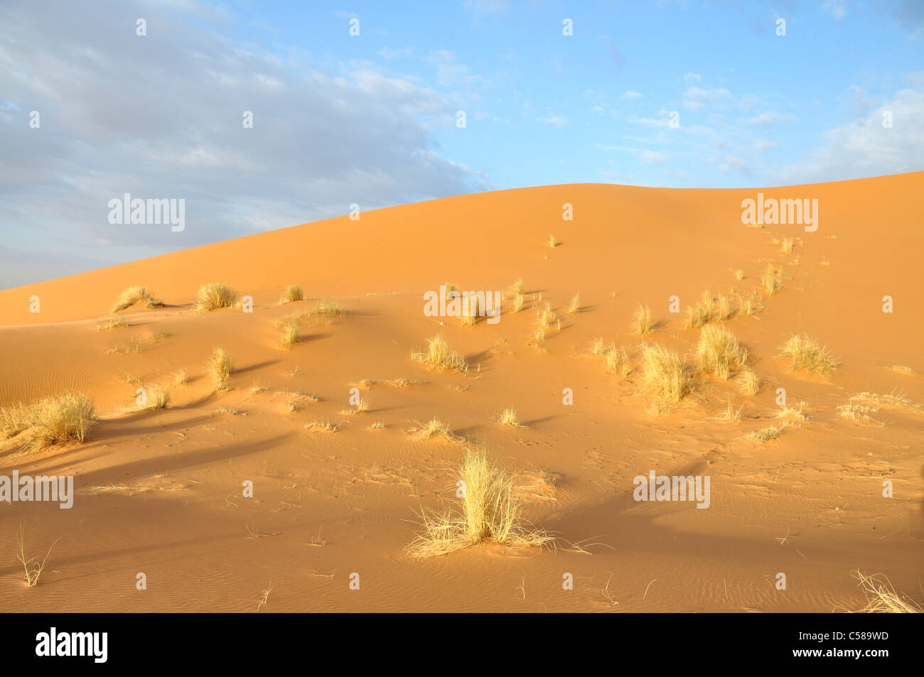 Africa, Morocco, Maghreb, North Africa, sand dunes, erg Chebbi, desert ...