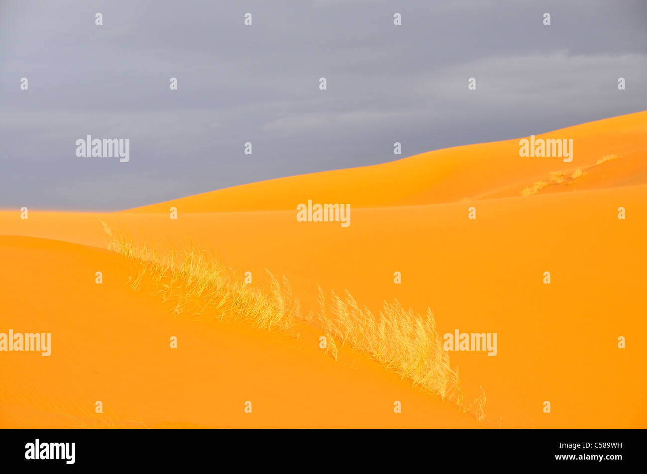 Africa, Morocco, Maghreb, North Africa, sand dunes, erg Chebbi, desert ...