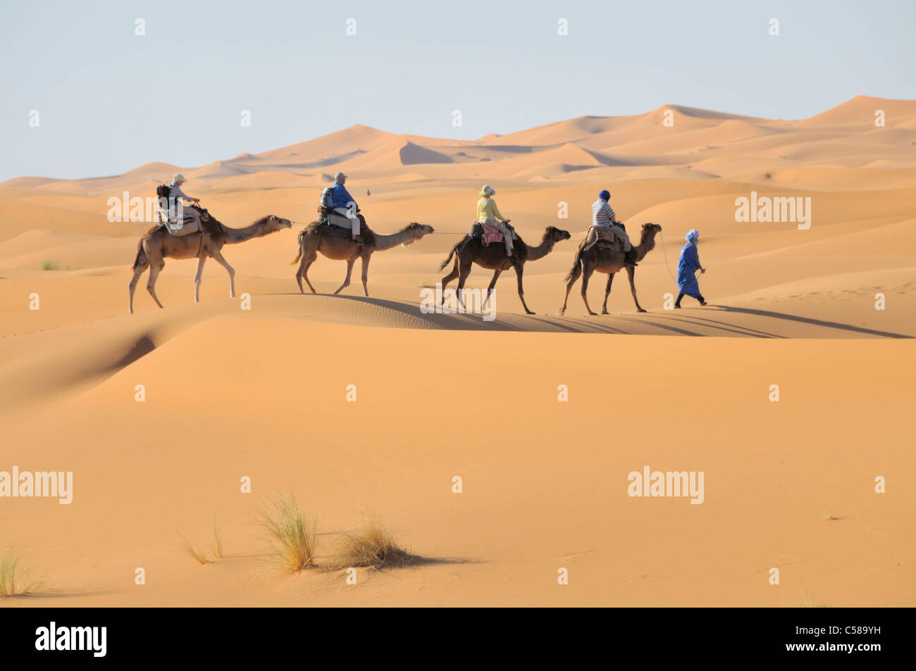 Africa, Morocco, Maghreb, North Africa, sand dunes, erg Chebbi, desert ...