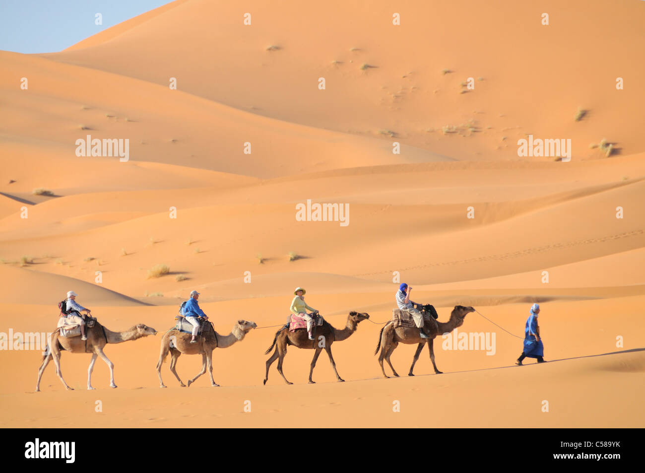 Africa, Morocco, Maghreb, North Africa, sand dunes, erg Chebbi, desert ...