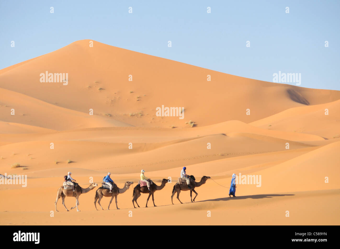 Africa, Morocco, Maghreb, North Africa, sand dunes, erg Chebbi, desert ...