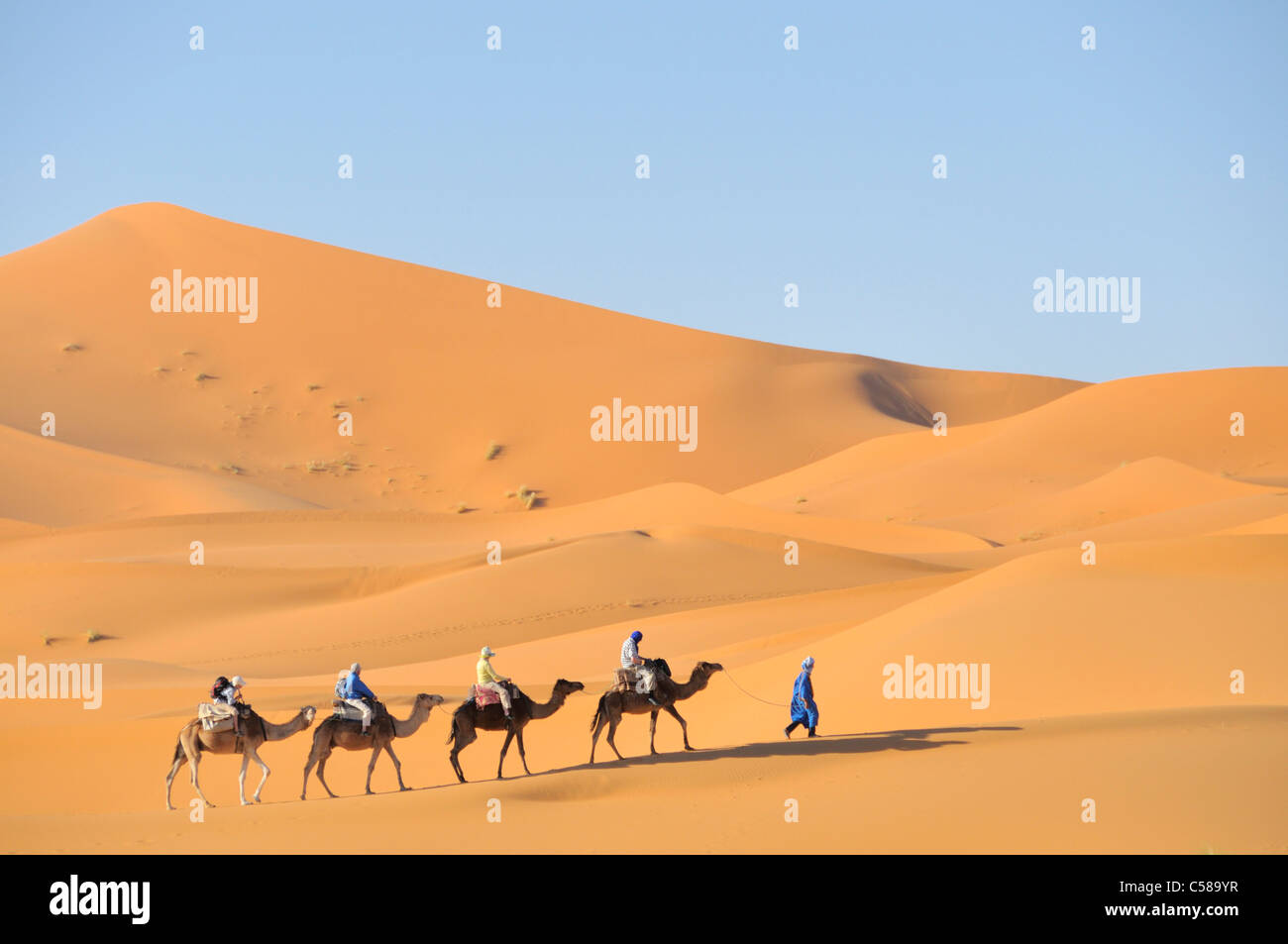 Africa, Morocco, Maghreb, North Africa, sand dunes, erg Chebbi, desert ...