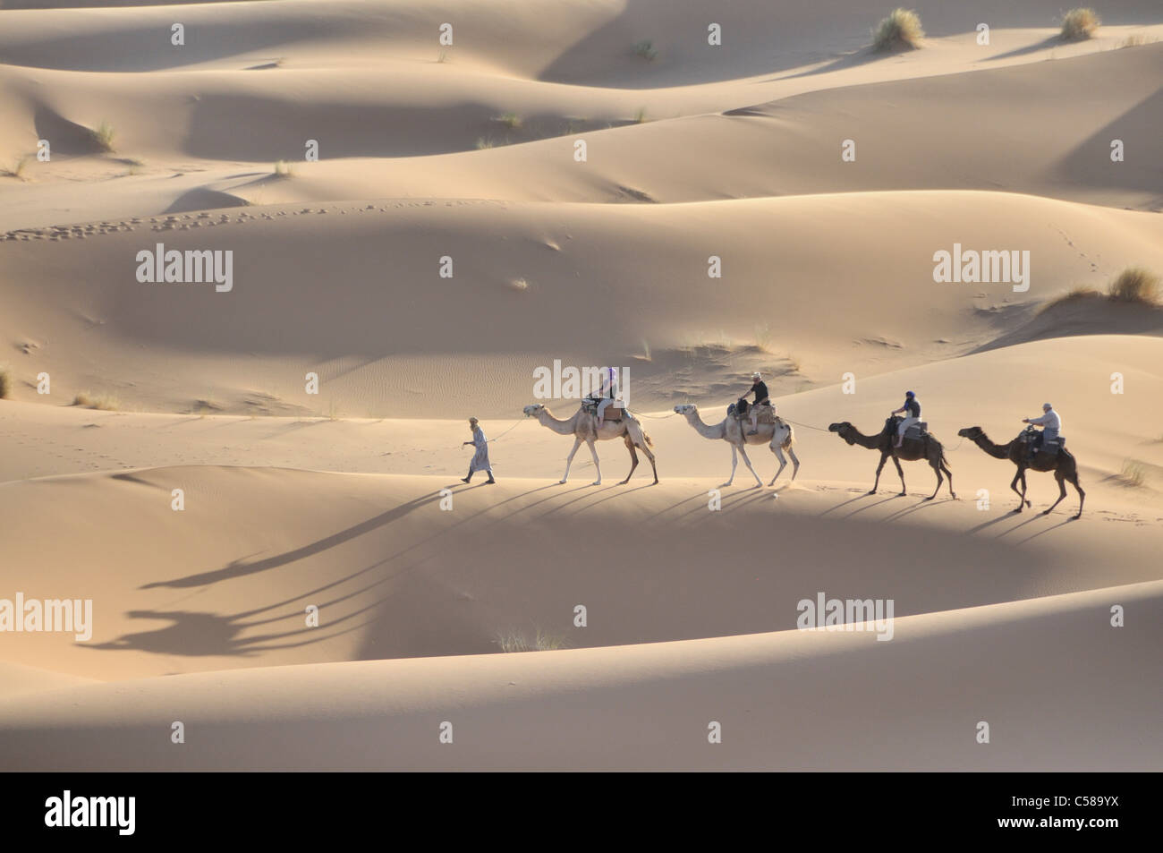 Africa, Morocco, Maghreb, North Africa, sand dunes, erg Chebbi, desert ...