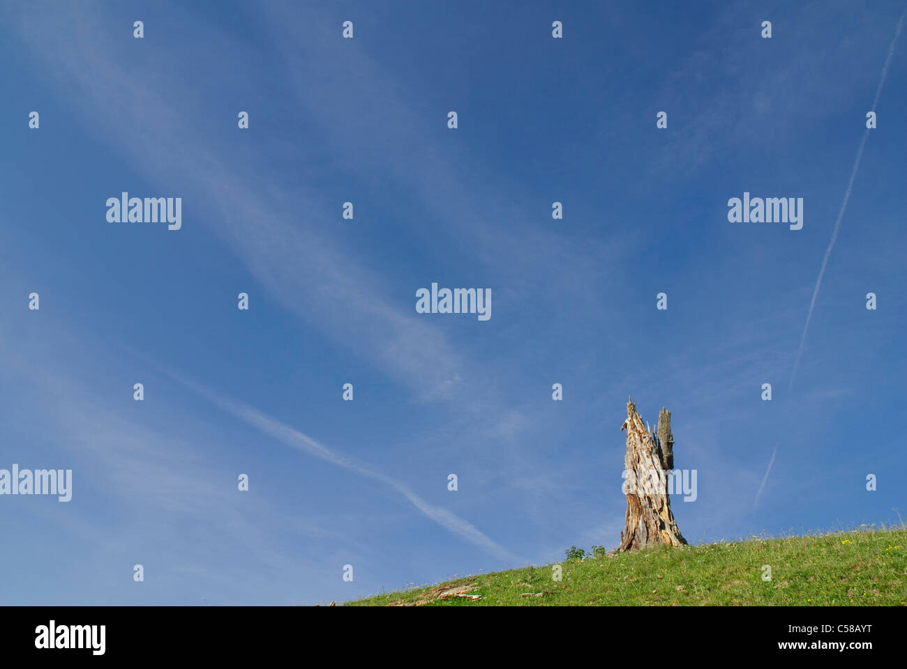 Airplane stripe hi-res stock photography and images - Alamy