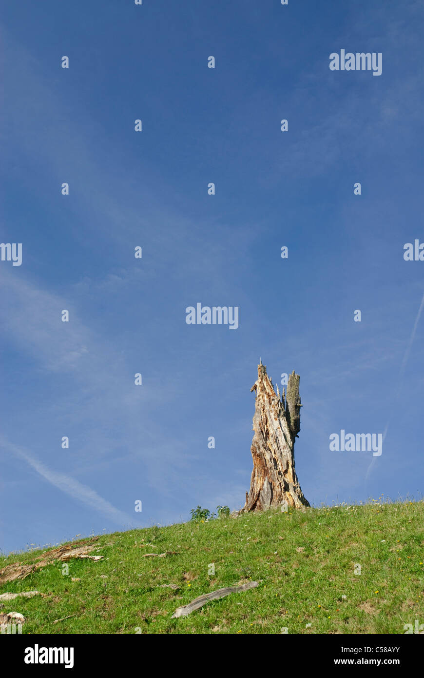 Transitoriness hi-res stock photography and images - Alamy