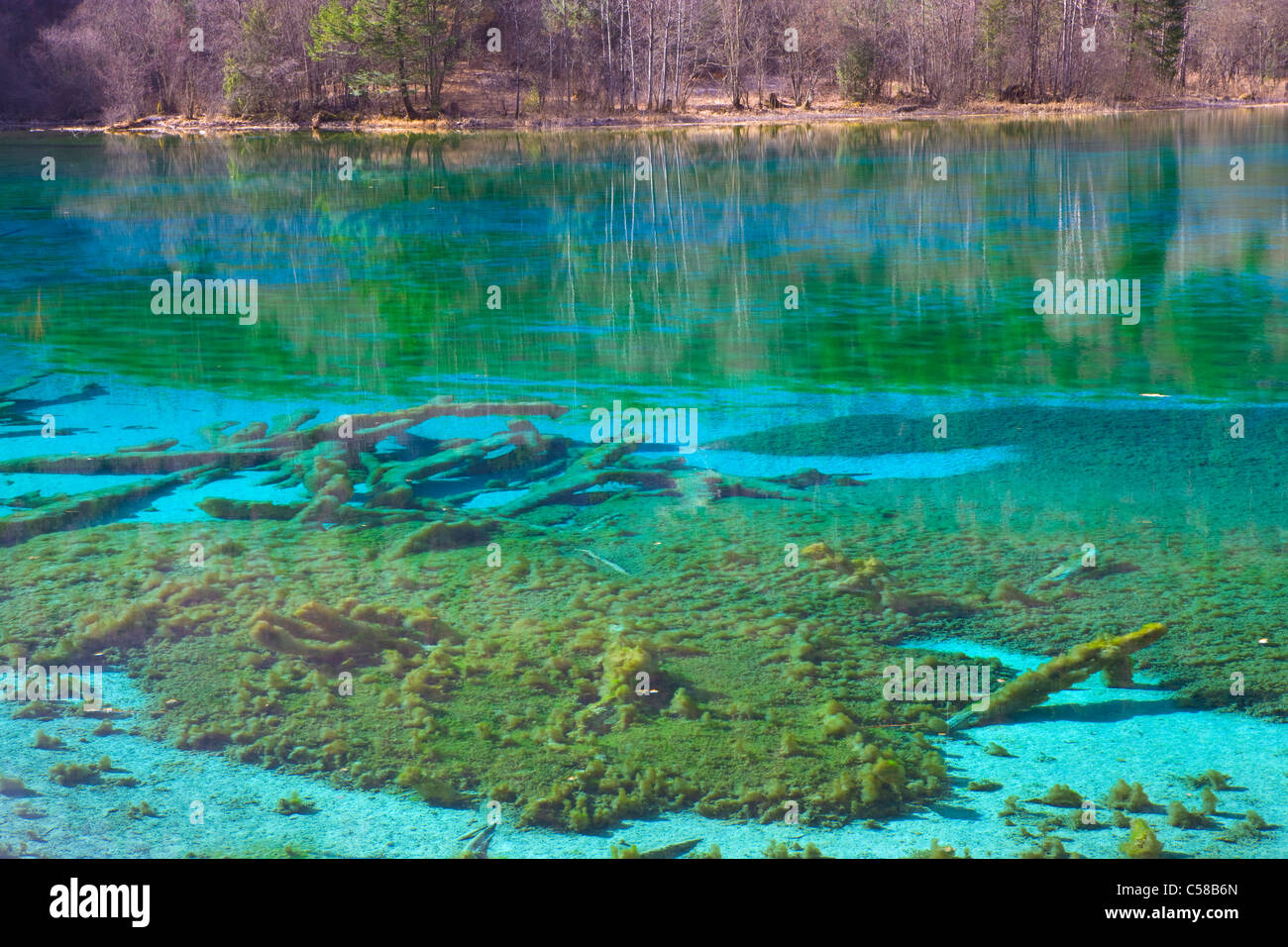 Five flowers lake hi-res stock photography and images - Alamy