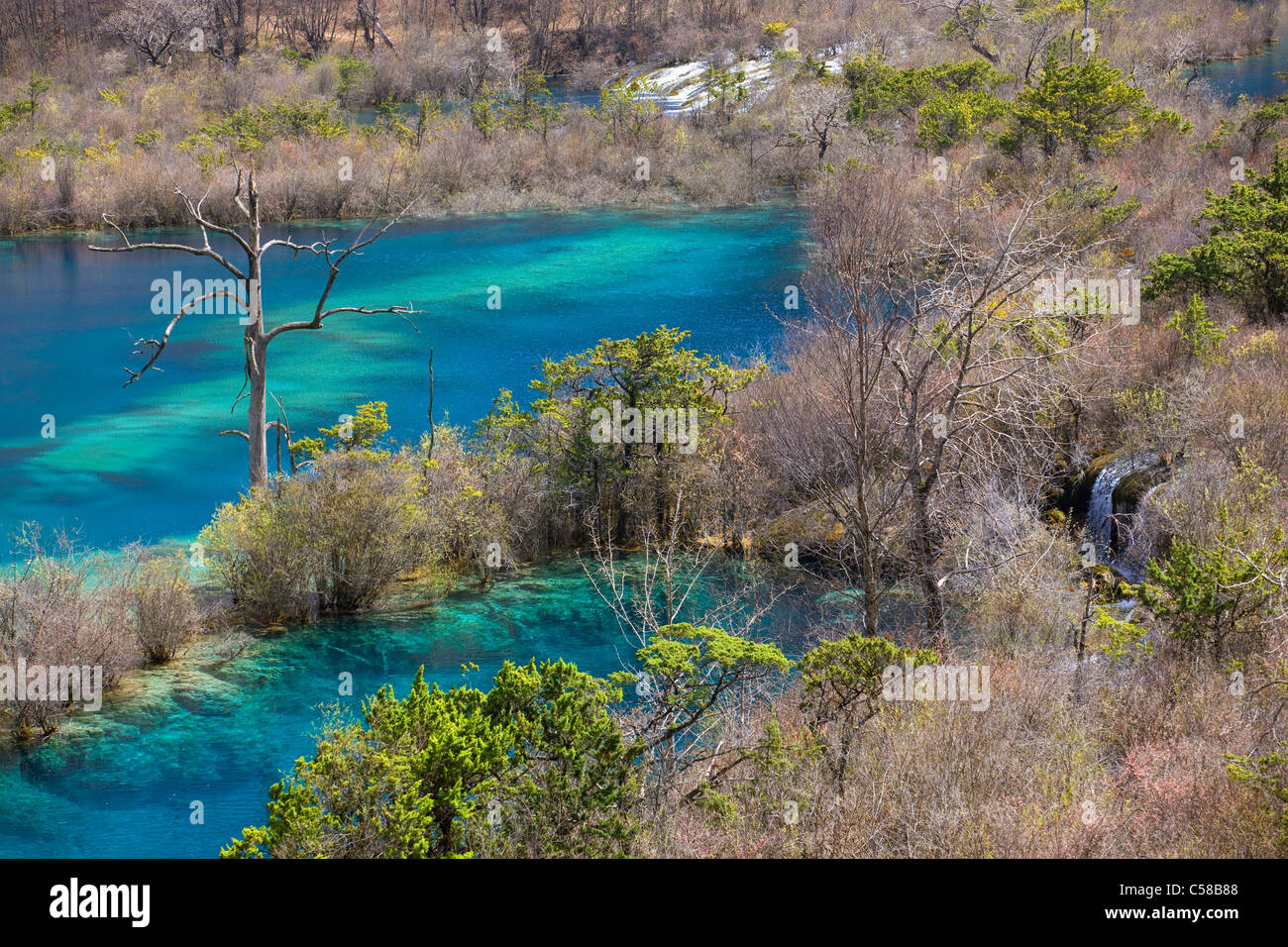 Jiuzhaigou, Shuzheng Lakes, China, Asia, national park, spring, lake ...