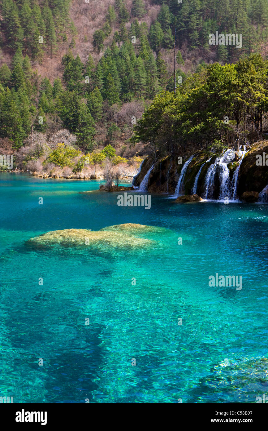 Jiuzhaigou, Sparkling fall, China, Asia, national park, spring, lake ...