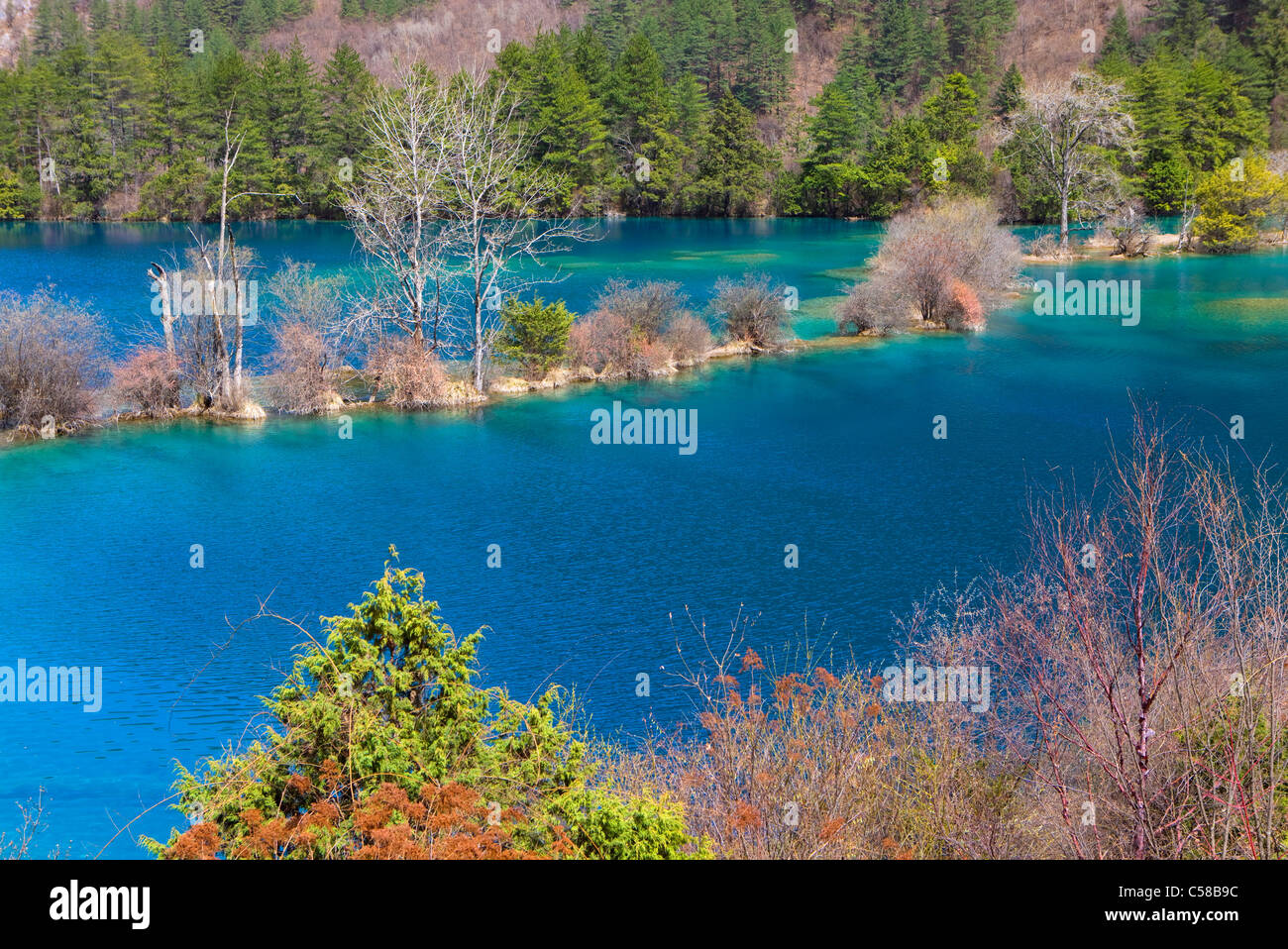 Jiuzhaigou, Sparkling, lake, China, Asia, national park, spring, lake ...