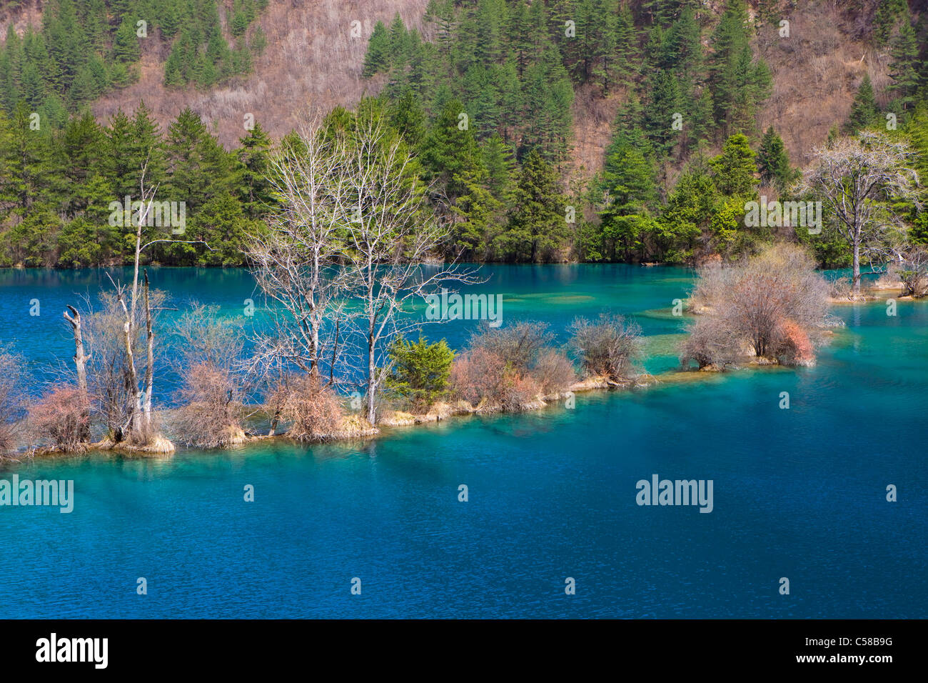 Jiuzhaigou, Sparkling, lake, China, Asia, national park, spring, lake ...