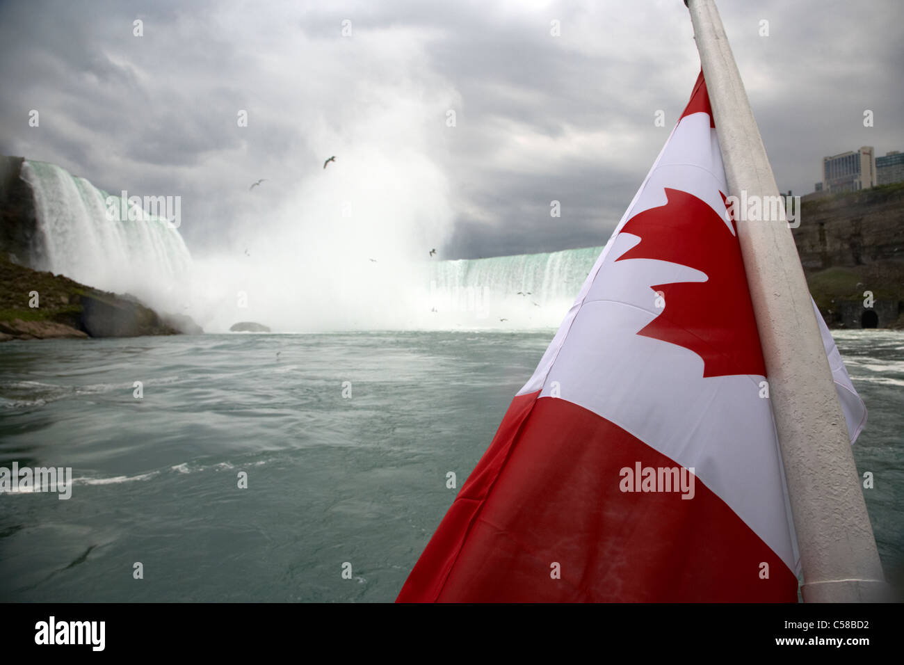 Maple Leaf Canadian Flag High Resolution Stock Photography and Images - Alamy